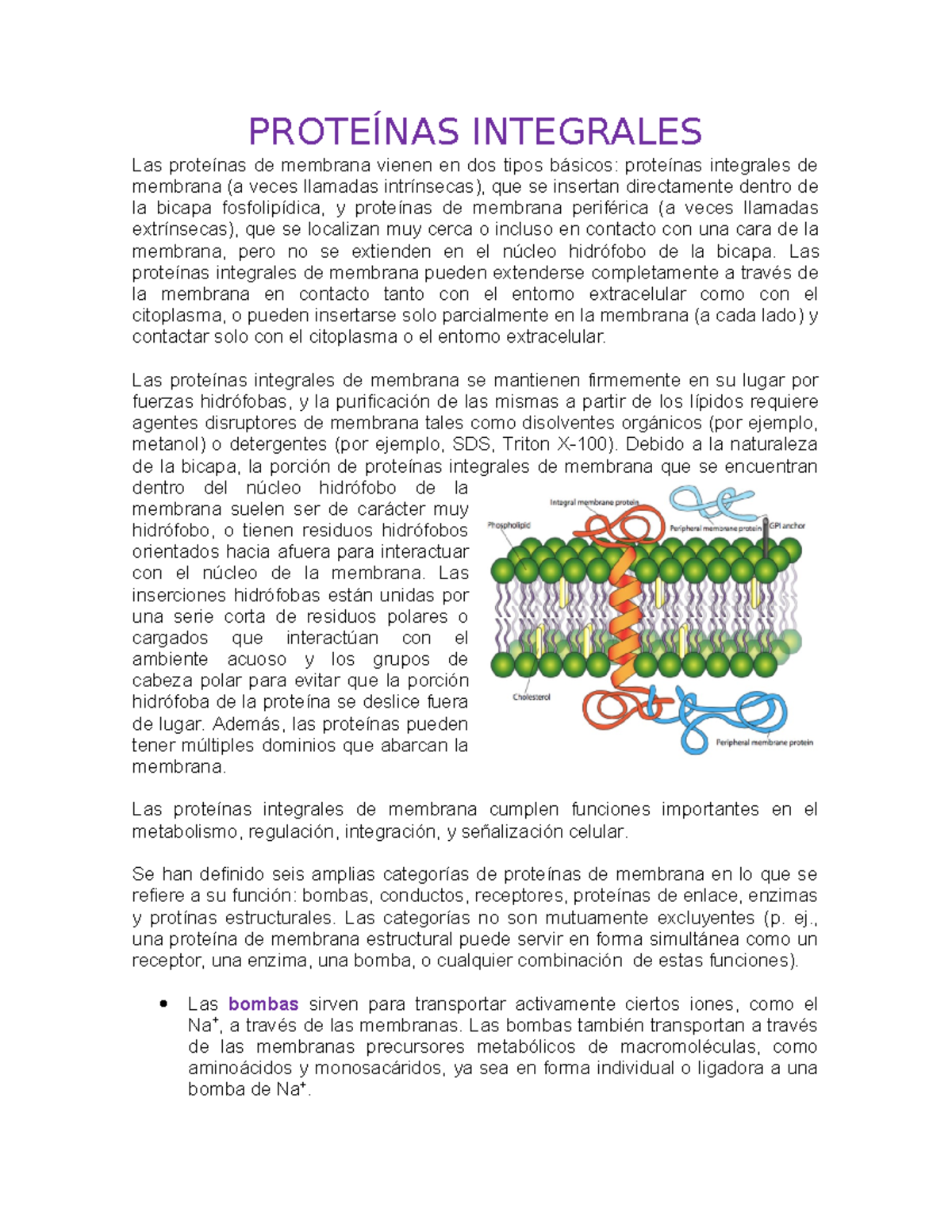Proteínas Integrales de Membrana: Funciones y Clasificación - Studocu