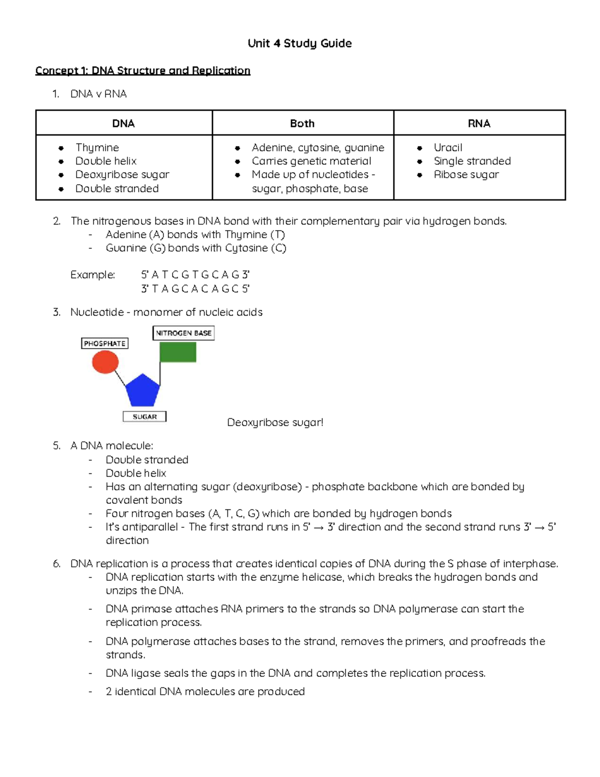 KEY - Unit 4 Study Guide - Bio: DNA Structure, Replication & Protein ...