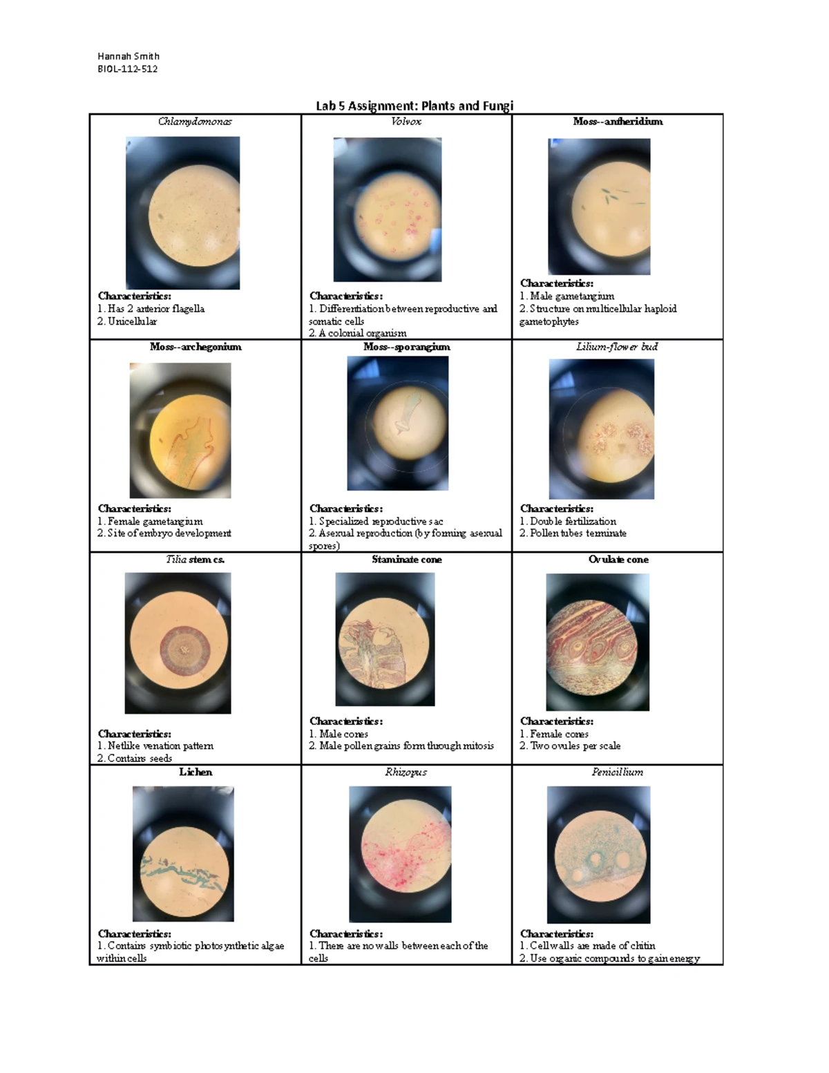 Plants and Fungi Lab Assignment - Hannah Smith BIOL-112- Lab 5 ...