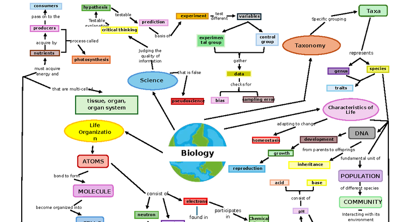 Concept Map Module 1: Understanding Life, Cells, and Ecosystems - Studocu