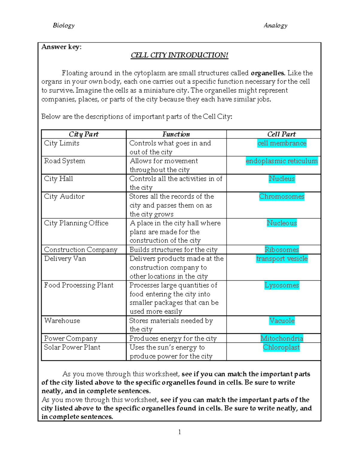 Cell Structure Worksheet Answer Key ObjectiveScreen Mockup Answer Key