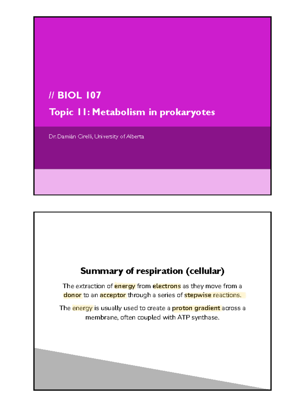BIOL 107 Topic 11: Metabolism in Prokaryotes - Summary and Pathways ...