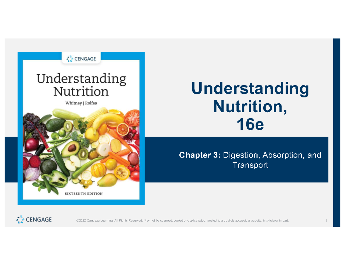 Understanding Nutrition, 16e: Chapter 3 - Digestion & Absorption Insights - Studocu