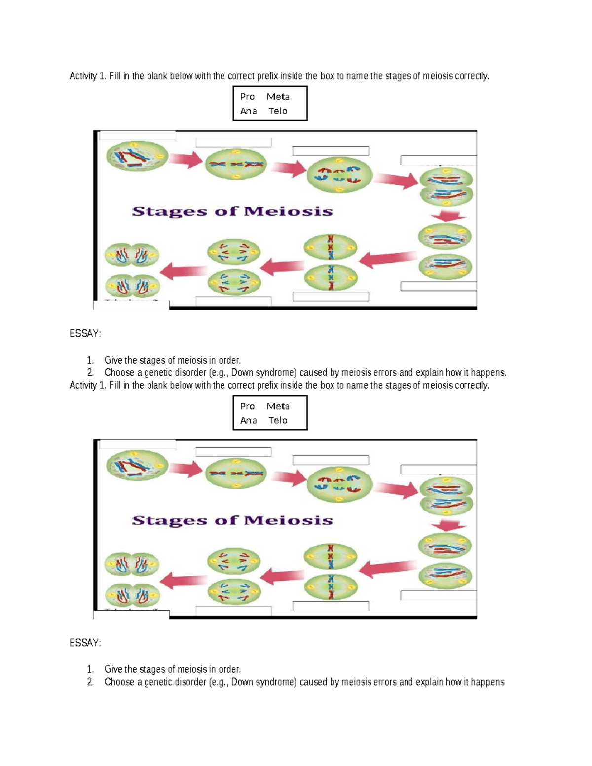 Activity OF Unity - Activity 1. Fill in the blank below with the ...
