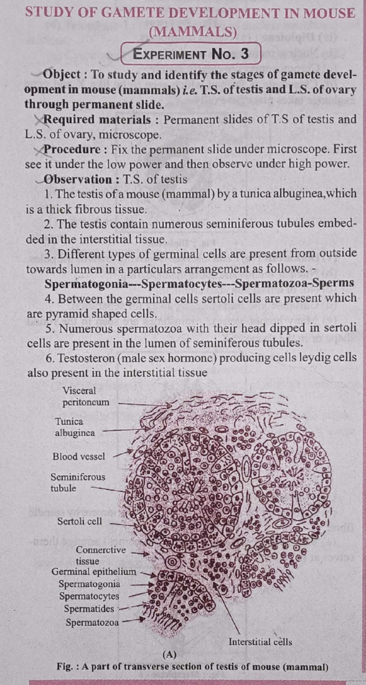 Class 12 physics practical-3A - Date Expt. No. Page No. 8 Aim Jo verify ...