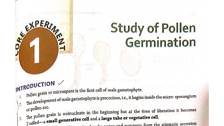 BIO 101: Pollen Germination Experiment and Meiosis Study Notes - Studocu