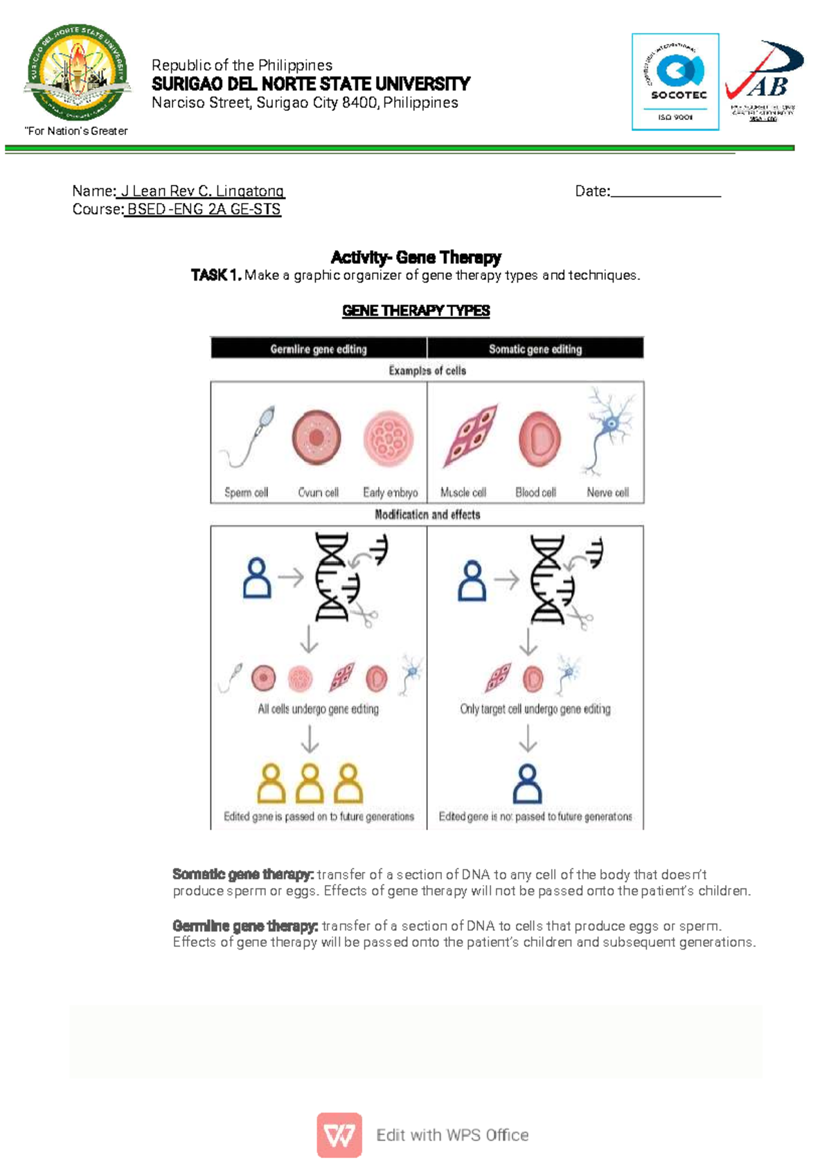 BSED 2A Activity: Graphic Organizer on Gene Therapy Types - Studocu
