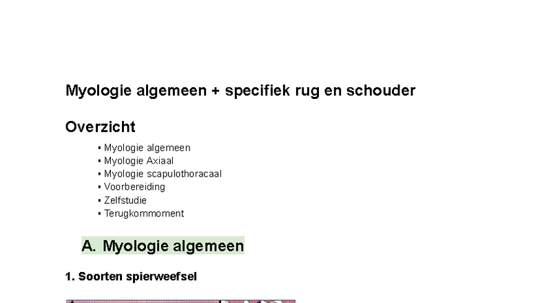 Myologie Algemeen: Overzicht van Spierweefsel en Functies - Studocu