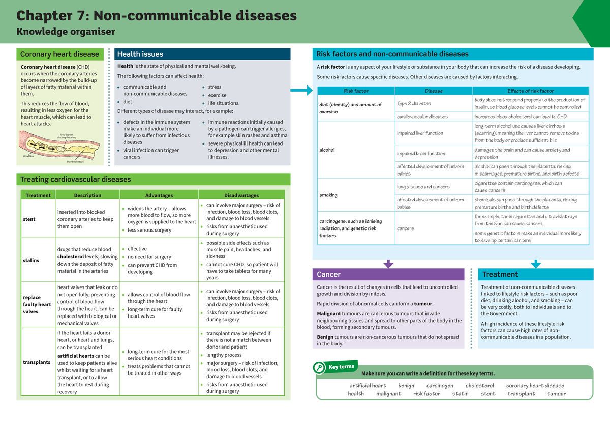 Chapter 7: Non-Communicable Diseases Knowledge Organizer (CHD Focus ...