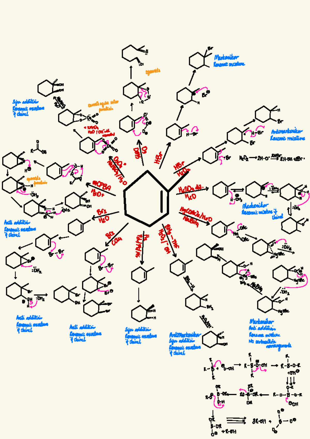 Alkene Addition Reactions: Mechanisms and Markonikov's Rule - Studocu