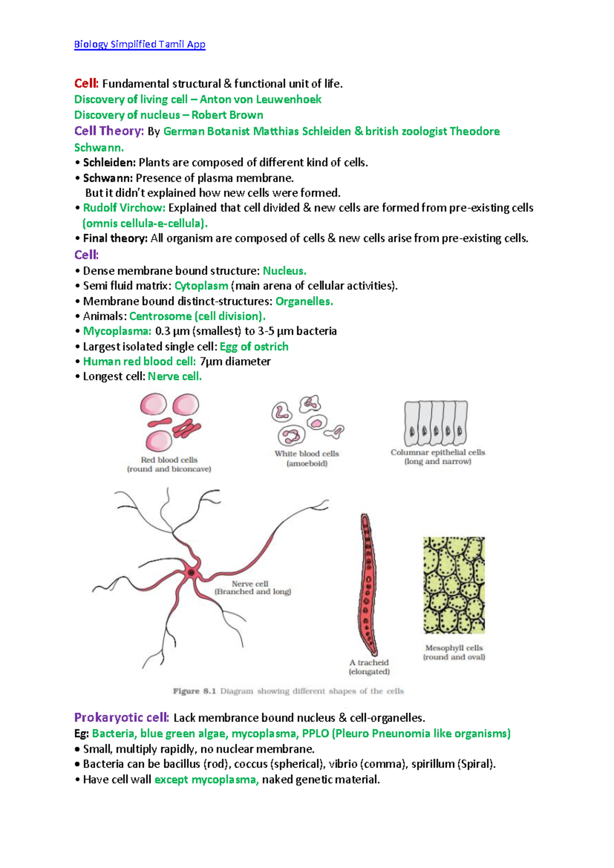 Cell - The unit of life 39e1068b-0d8a-42d9-a9d6-6948ce8815fa - Cell ...