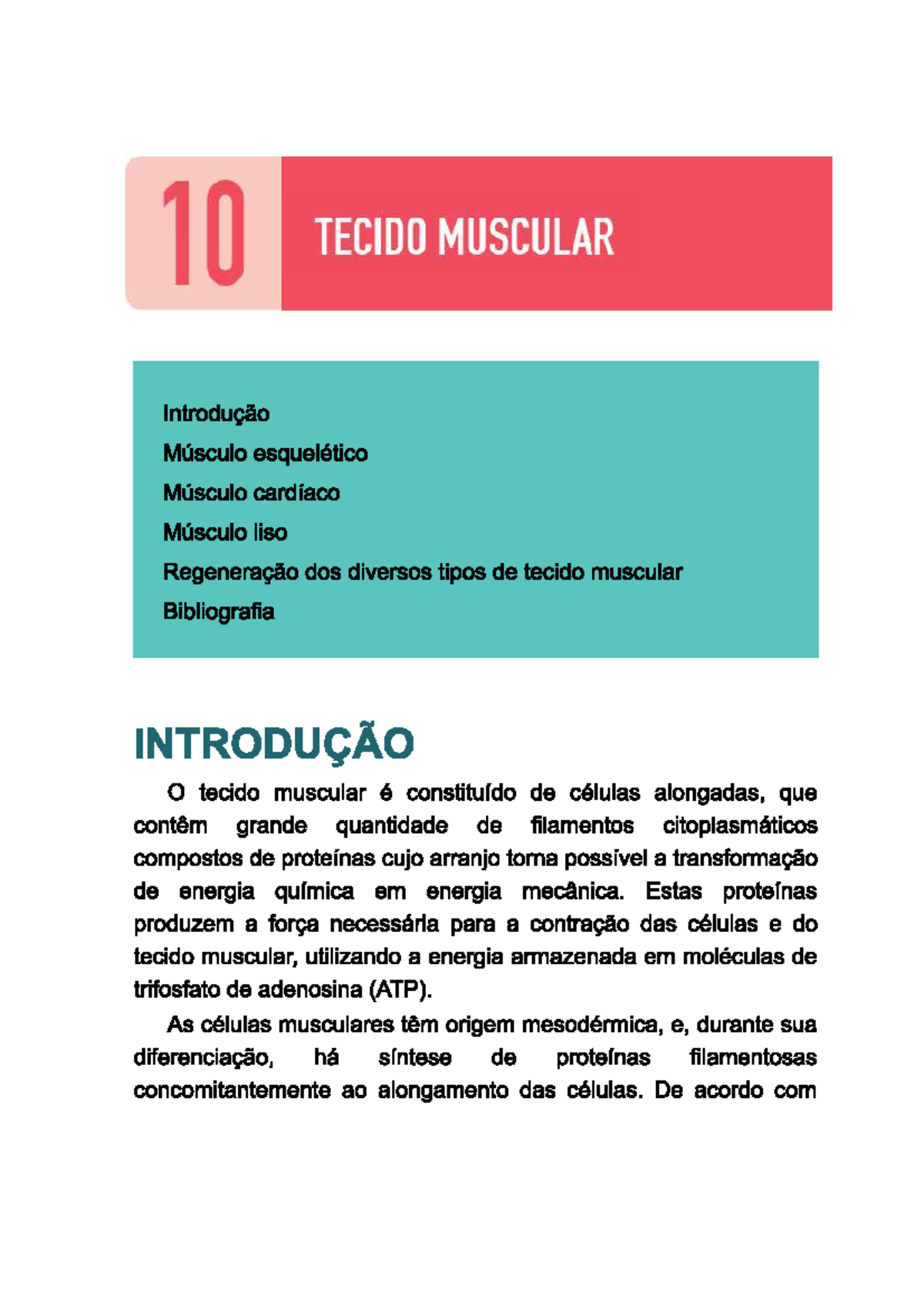 Estudo sobre Tecido Muscular: Tipos e Características (BIO101) - Studocu