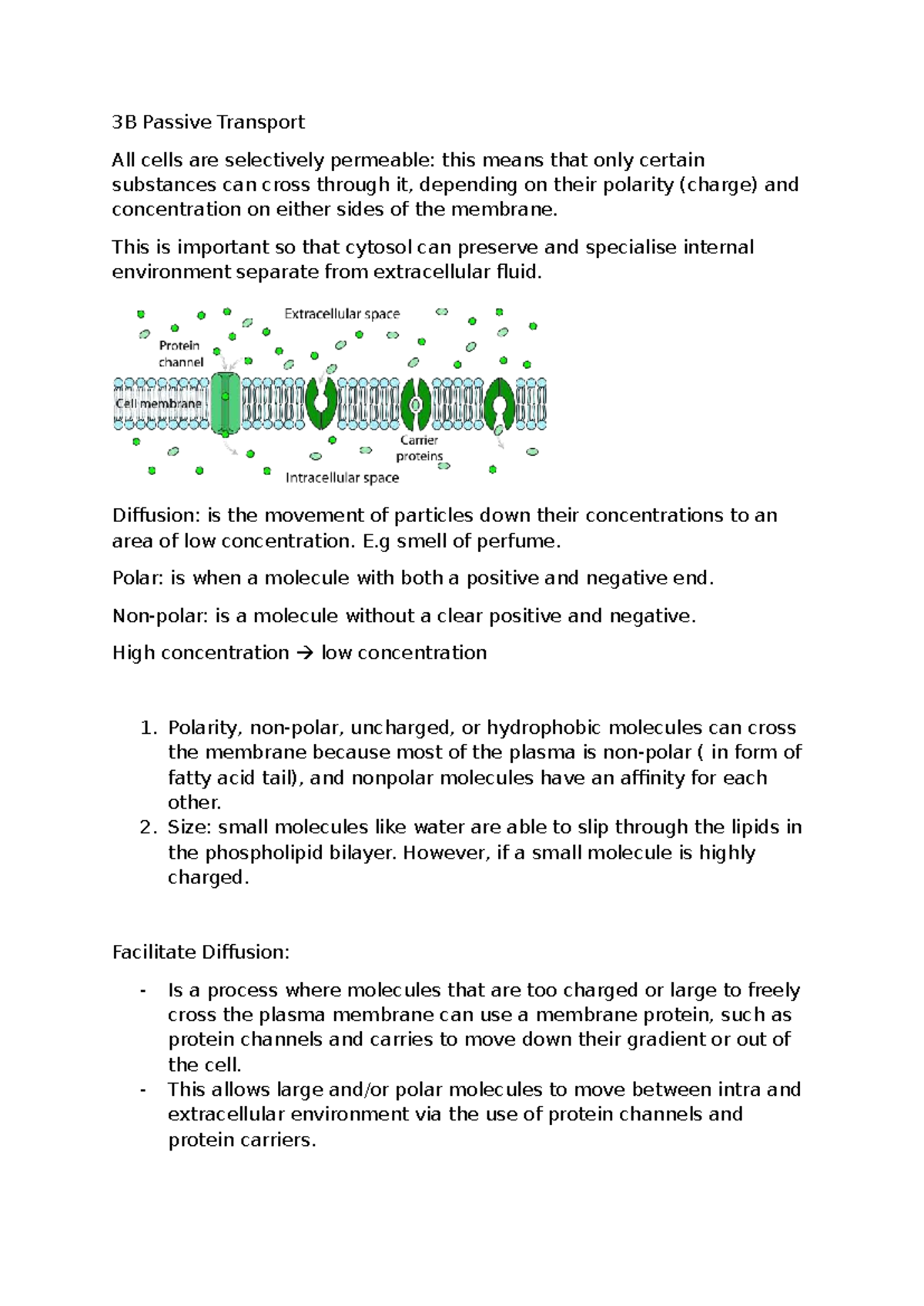 Biology Notes AOS 2: Passive and Active Transport Mechanisms - Studocu