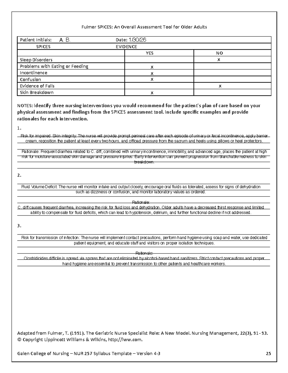SPICES Assessment Tool: Nursing Interventions for Older Adults (NUR 257 ...