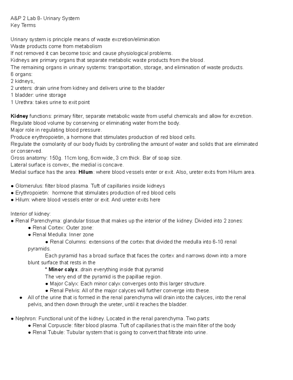 Lab 8. Urinary System - Lab 8 Notes - A&P 2 Lab 8- Urinary System Key ...