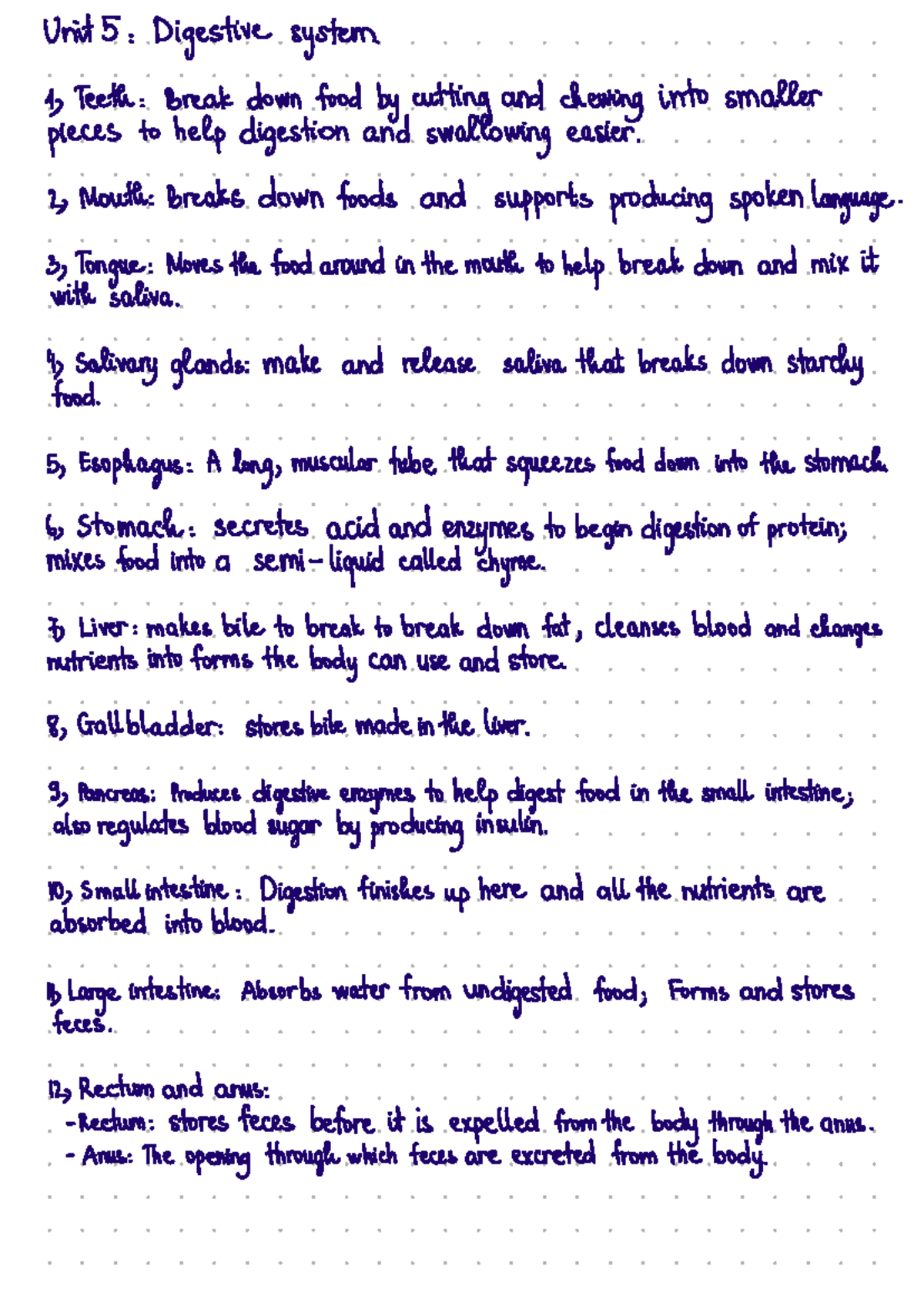 Unit 5 & 6: Digestive and Urinary Systems Overview Notes - Studocu