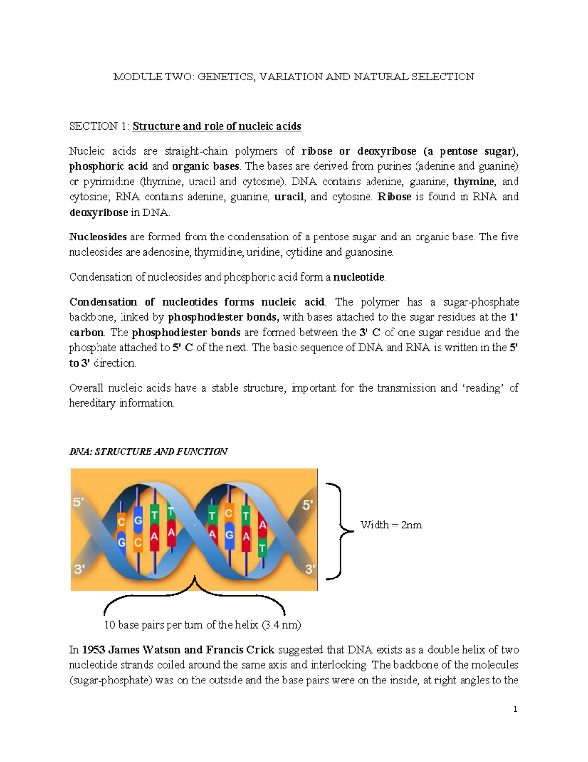 Module 2.1: Genetics, Nucleic Acids, and Protein Synthesis Notes - Studocu