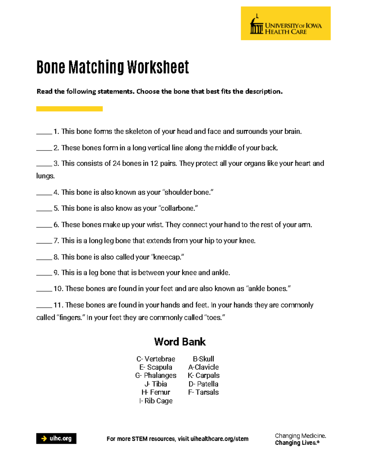 Bone Matching Worksheet - CMA Study Material - Studocu