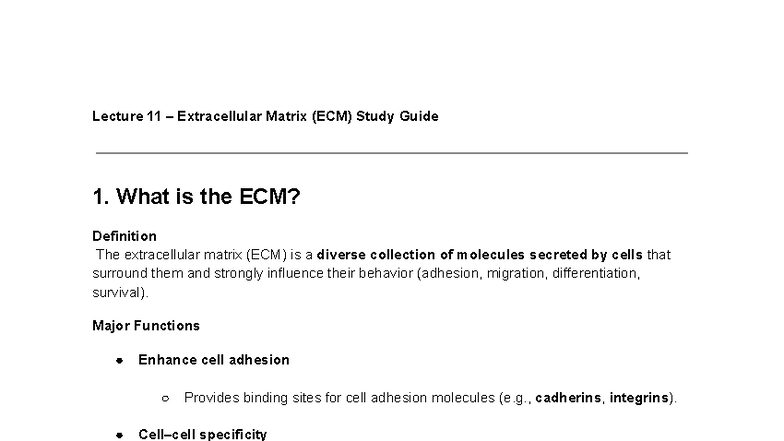 Lecture 11: Extracellular Matrix (ECM) Comprehensive Study Guide - Studocu