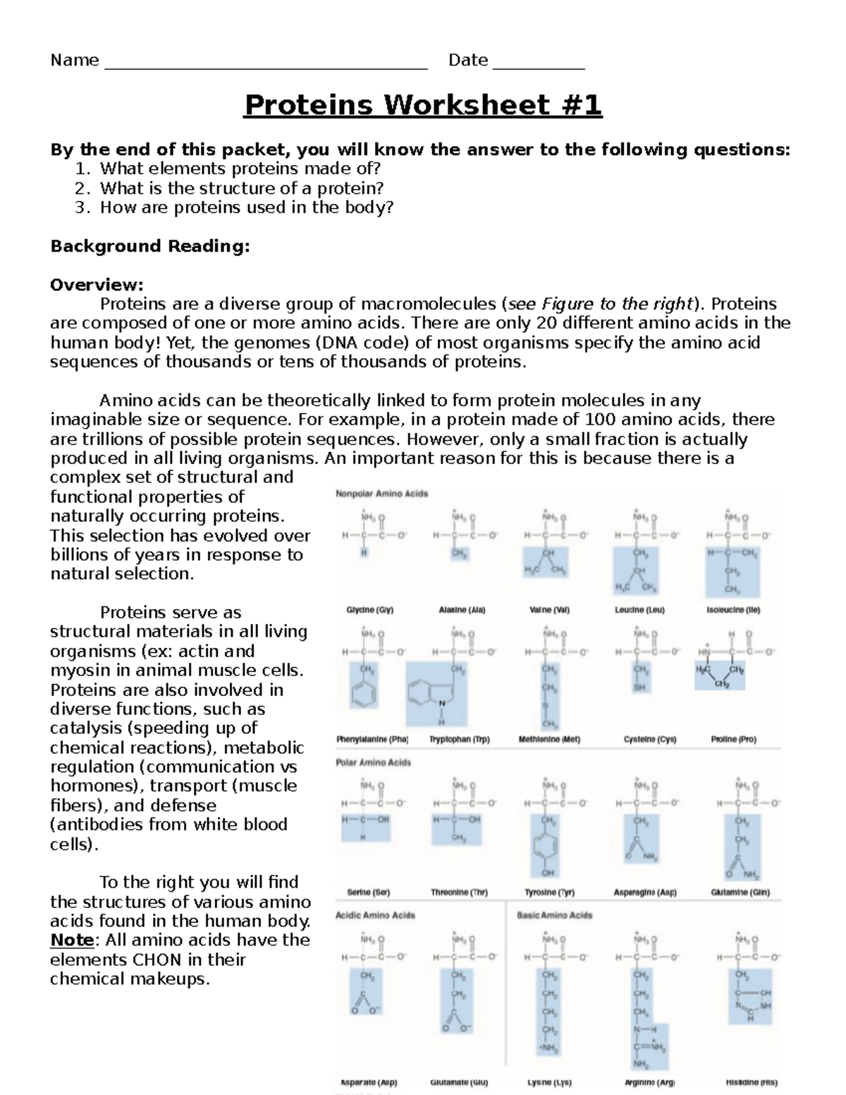 Proteins Worksheet #1: Key Concepts and Questions on Structure and ...
