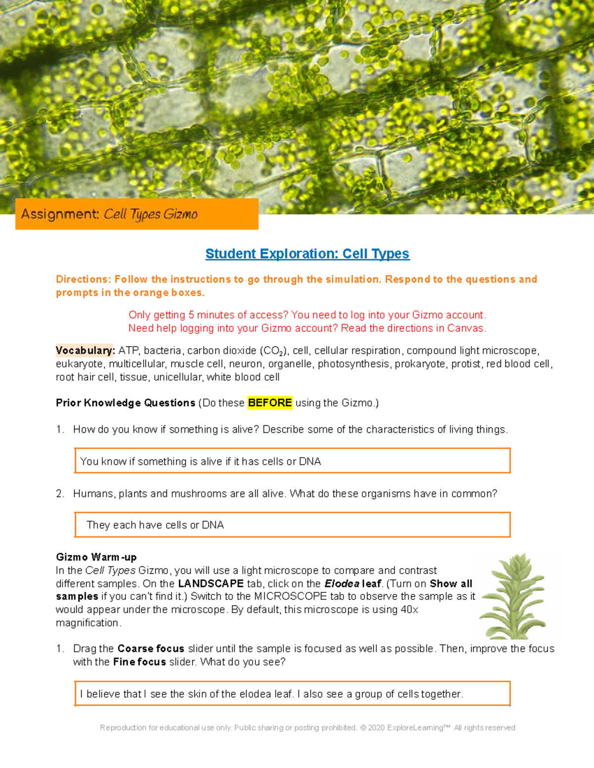 Cell Types Exploration: Gizmo Simulation Guide for Students - Studocu
