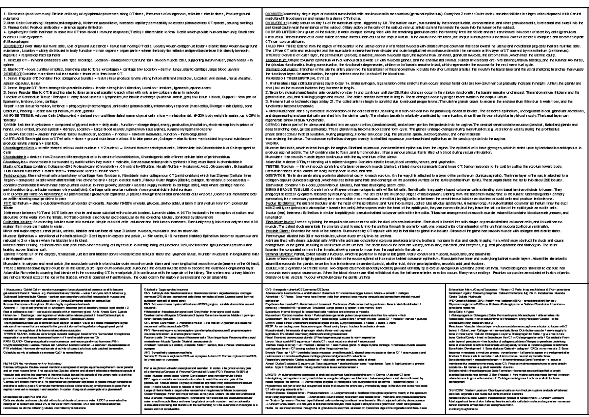 Connective Tissue & Reproductive Systems Overview (Exam Notes) - Studocu