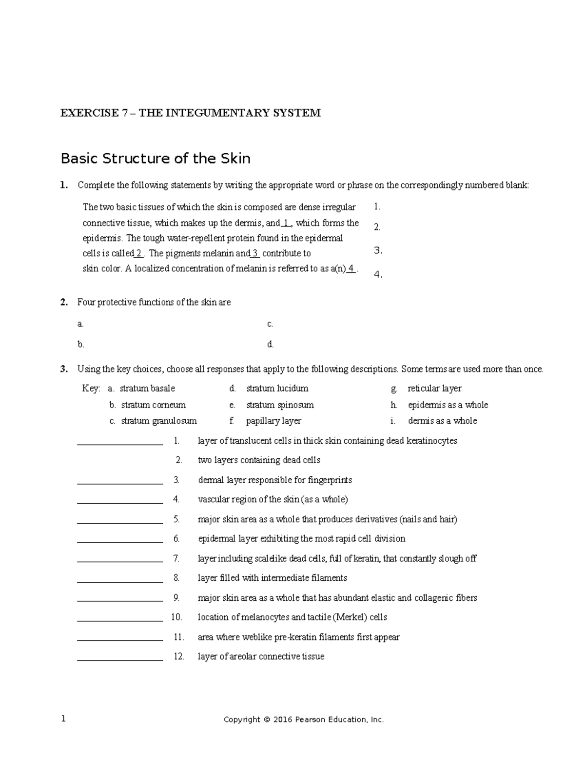 Lab 5 Review Sheet: Integumentary System Overview - Studocu