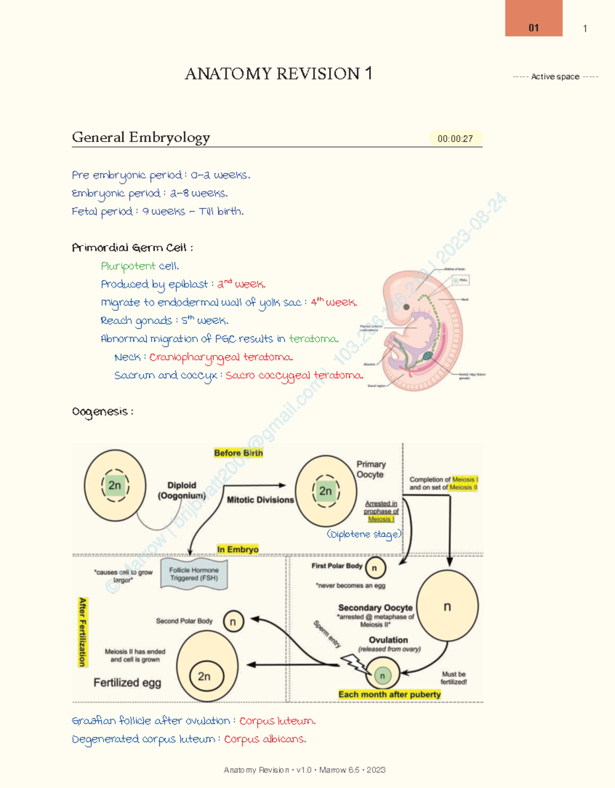 Anatomy Revision 1: Key Concepts in General Embryology and Development ...