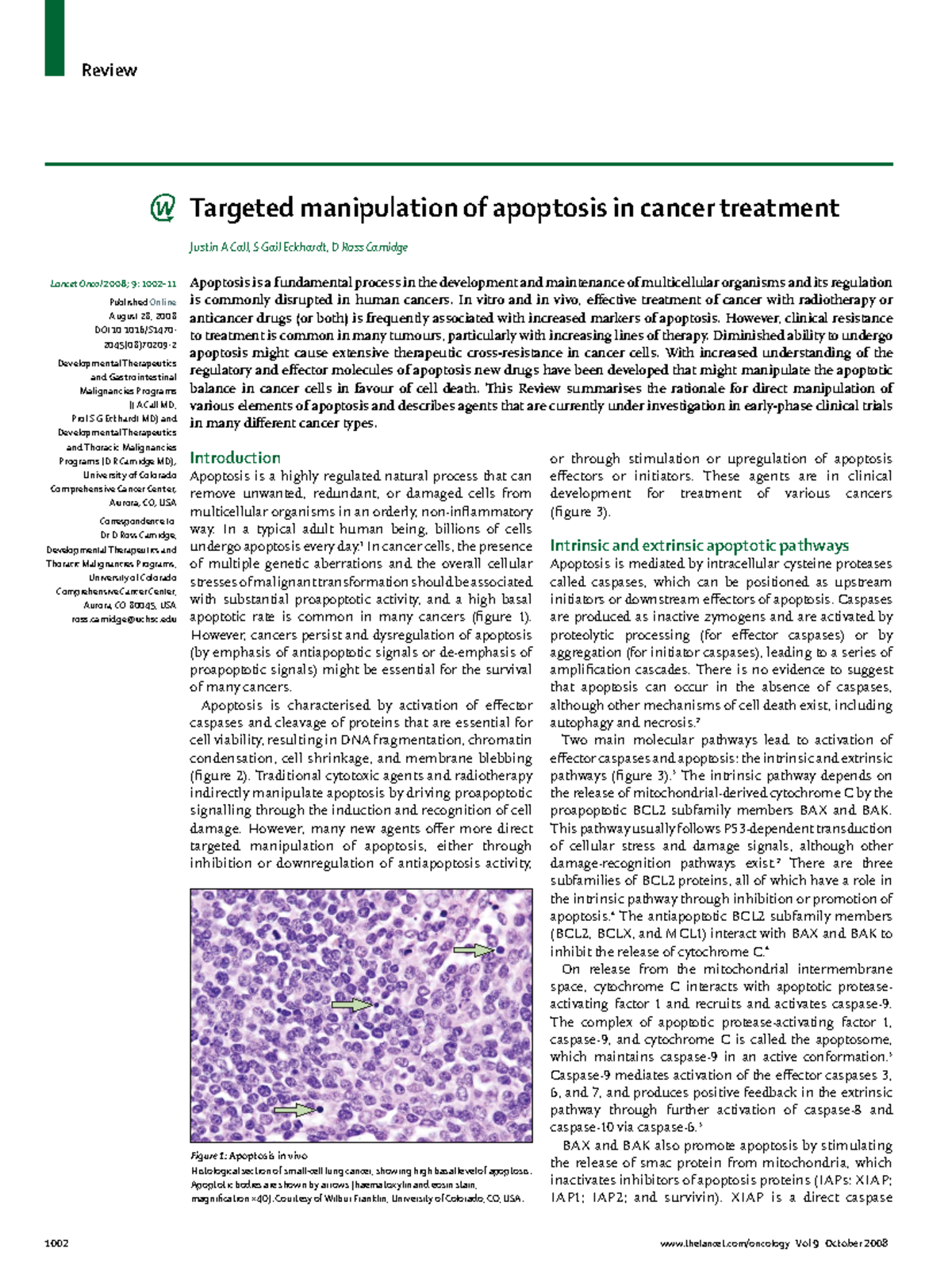 Targeted manipulation of apoptosis - In vitro and in vivo, effective ...