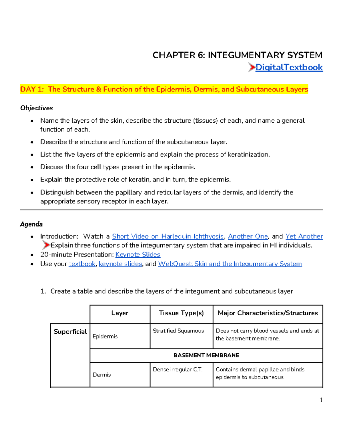 Chapter 6 Integumentary System - CHAPTER 6: INTEGUMENTARY SYSTEM ...