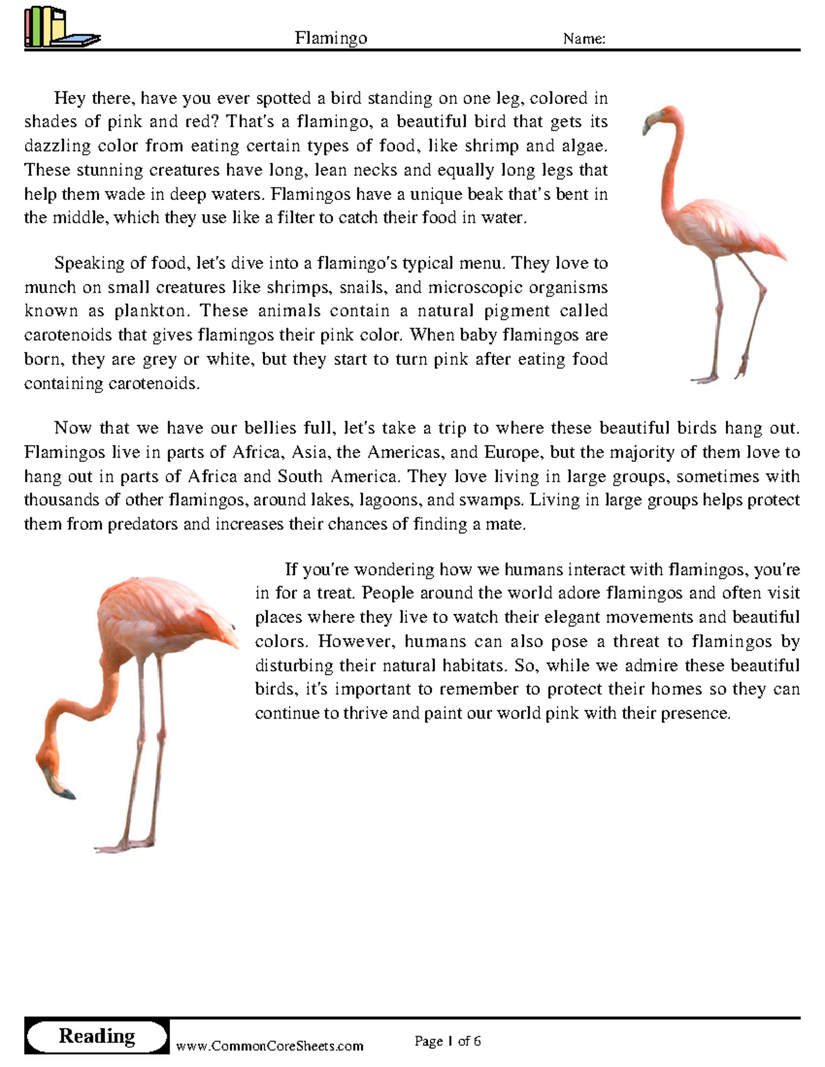 Flamingo Facts: Diet, Habitat, and Unique Traits Explained - Studocu