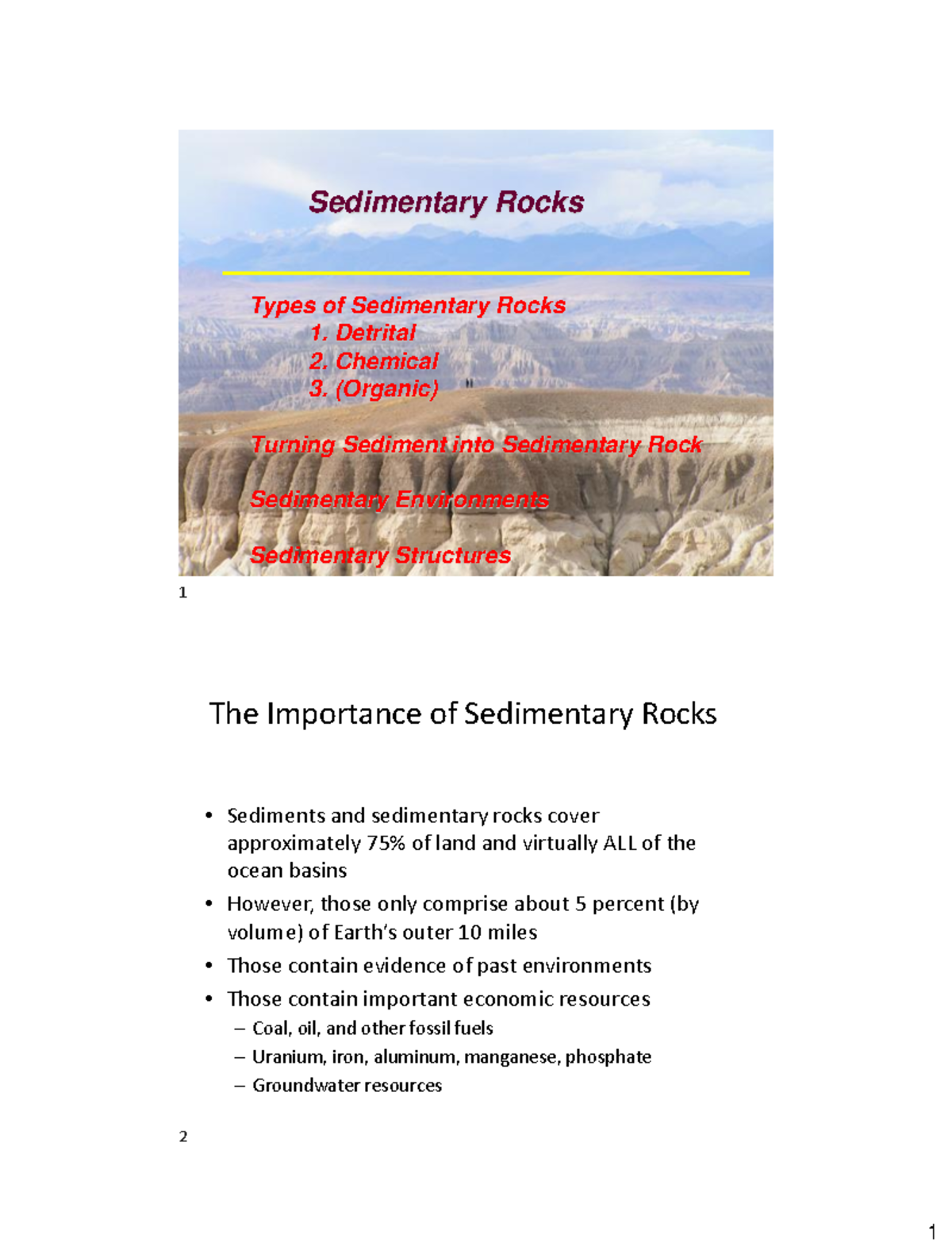 Sedimentary Rocks: Classification, Formation, and Importance ...