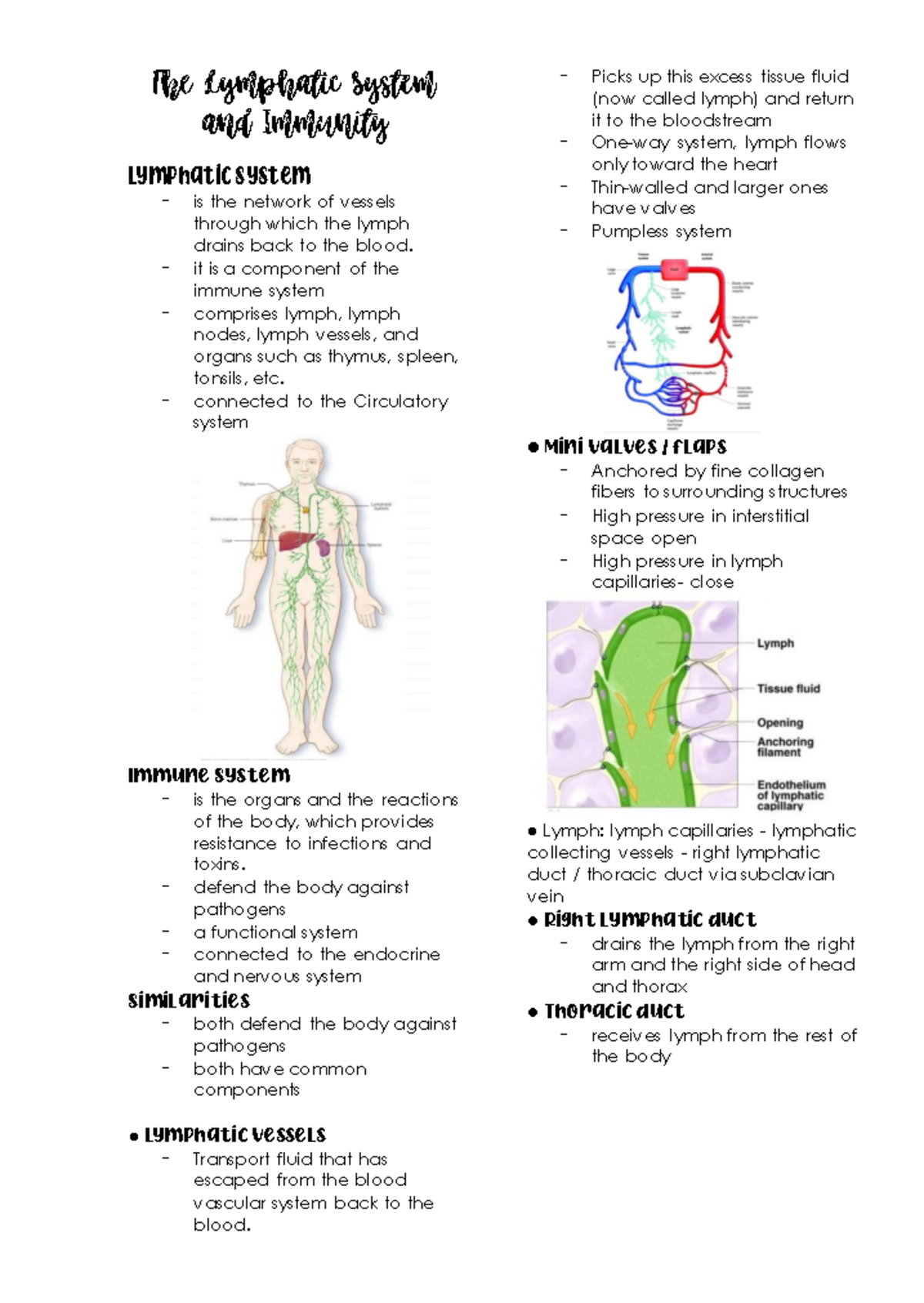 The Lymphatic System and Immunity Reviewer - Lymphatic System is the ...
