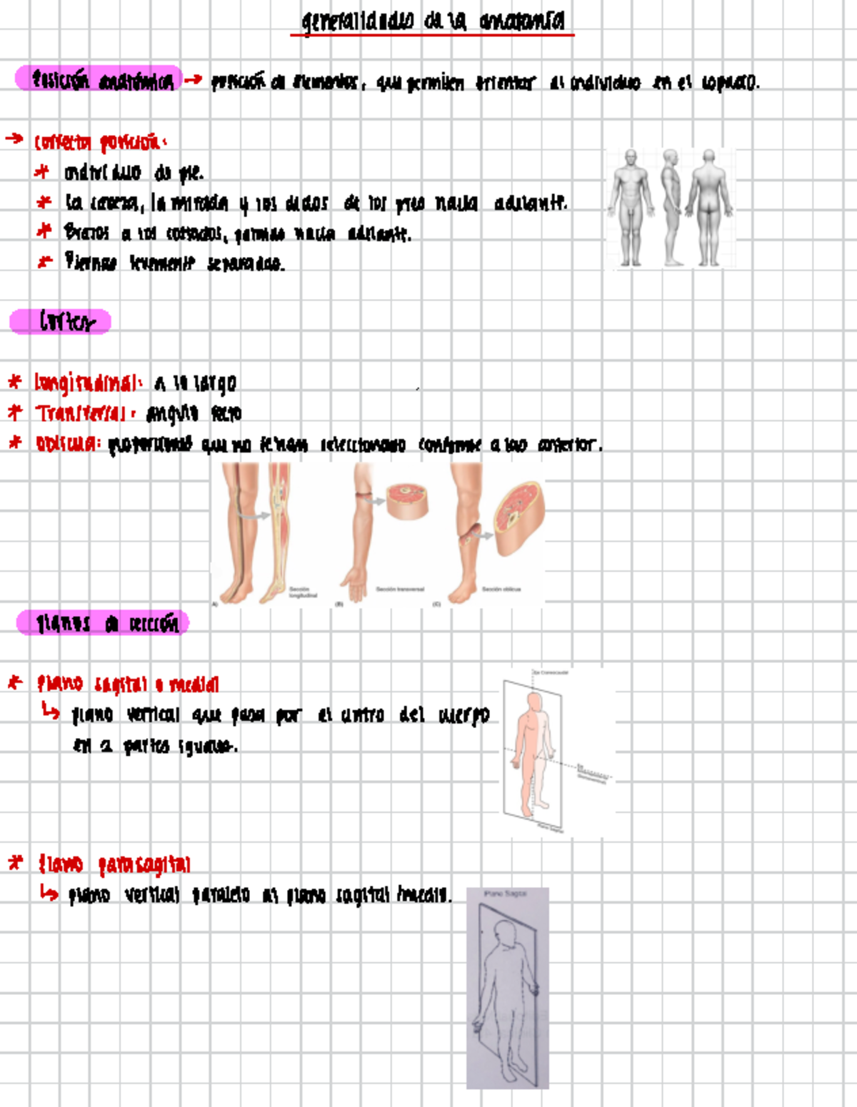 Generalidades de la Anatomía - Fundamentos y Posiciones Anatómicas ...