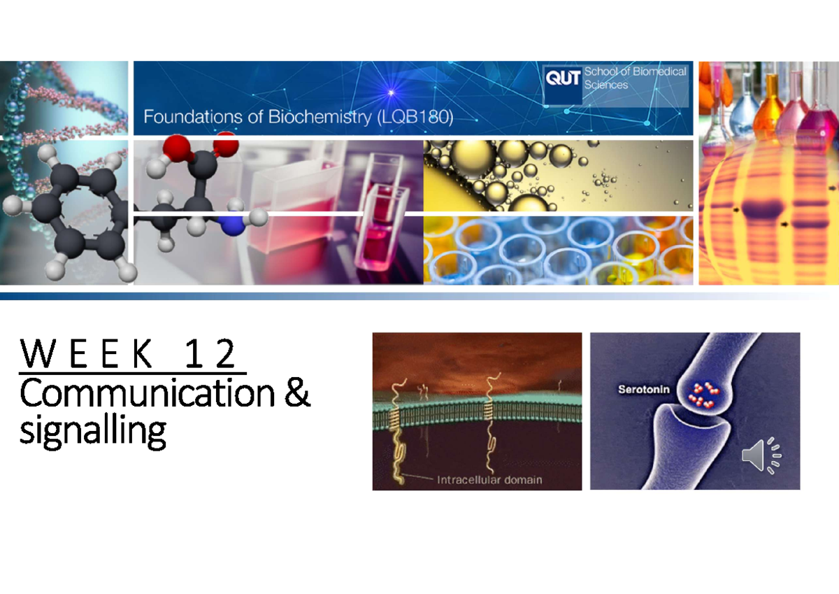 Week 12 Lecture: Communication & Signalling - Studocu