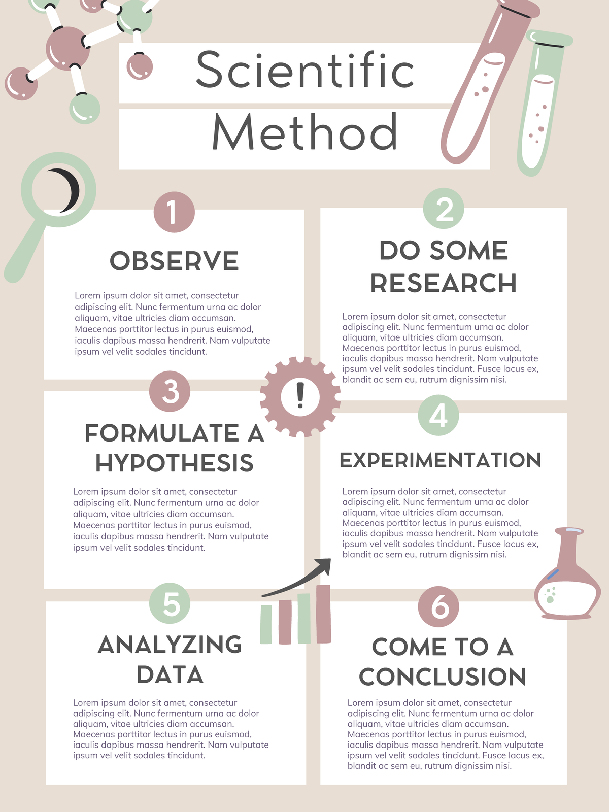 Scientific Method Overview: Steps & Processes in Research - Studocu