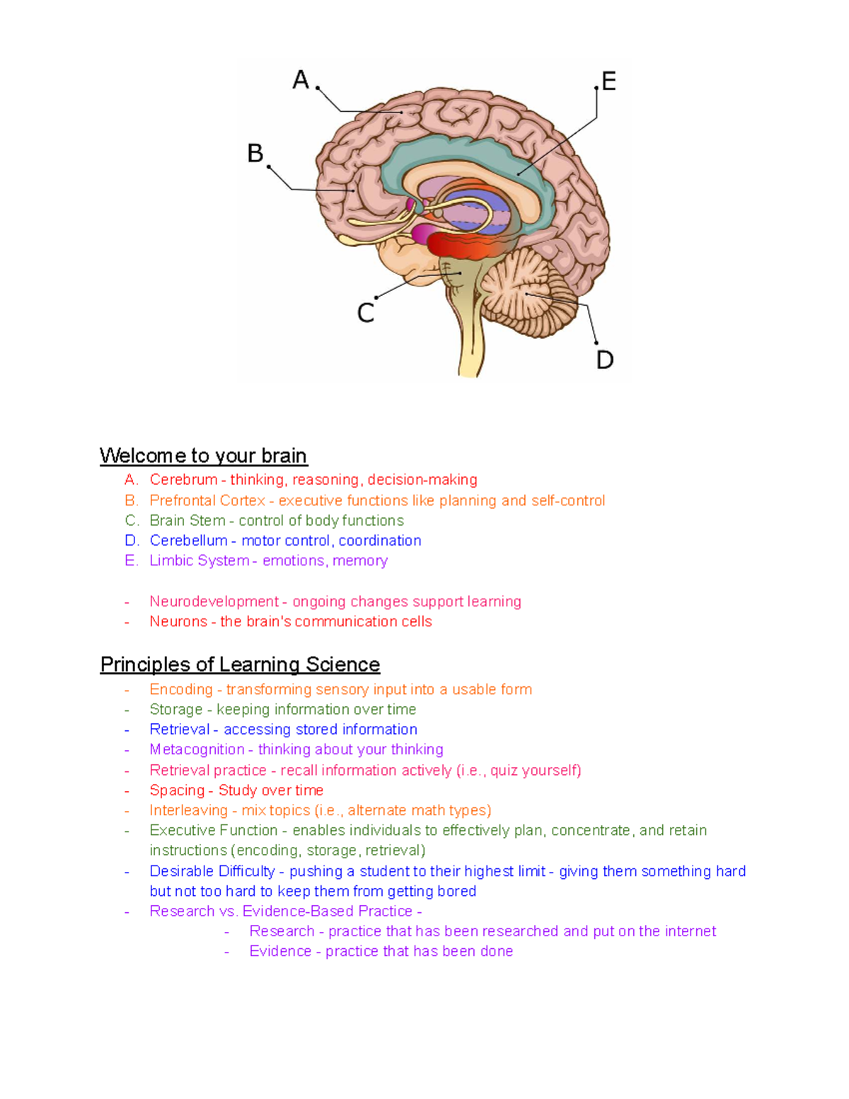 Learners and Learning Science Key Notes: Understanding Brain Functions ...