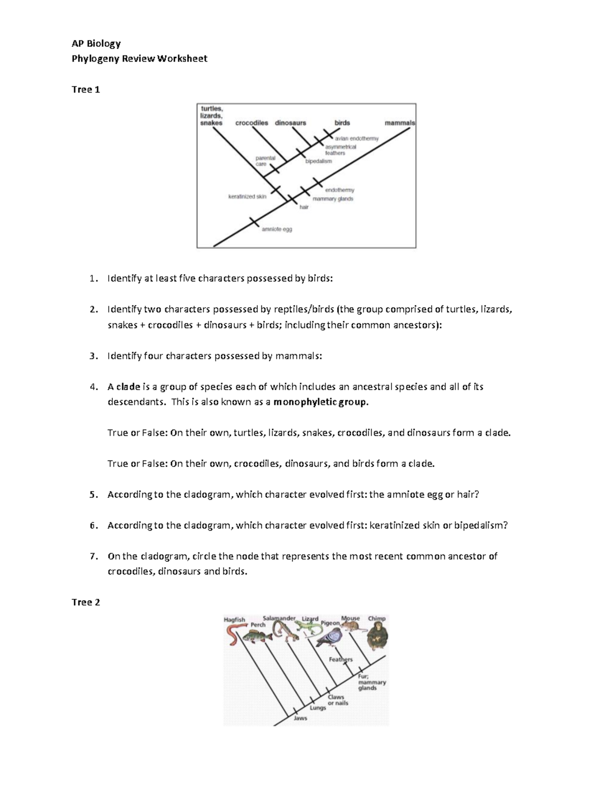 Phylogeny Review Worksheet 2017 - AP Biology Phylogeny Review Worksheet ...