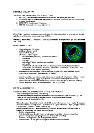 Analizatorii - ANALIZATORII Legăturile dintre mediul extern şi organism ...