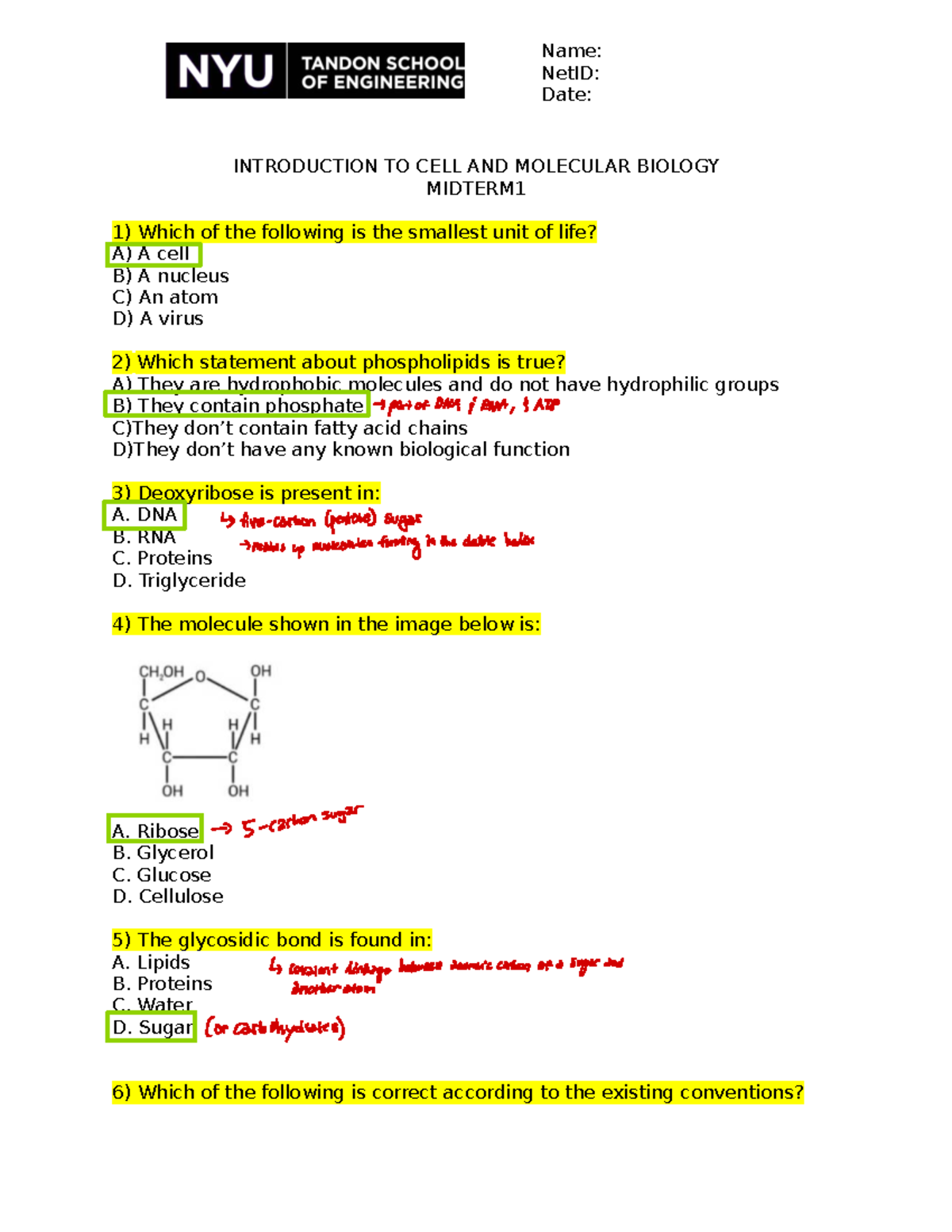Introduction to Cell and Molecular Biology - Midterm Exam 1 - Studocu
