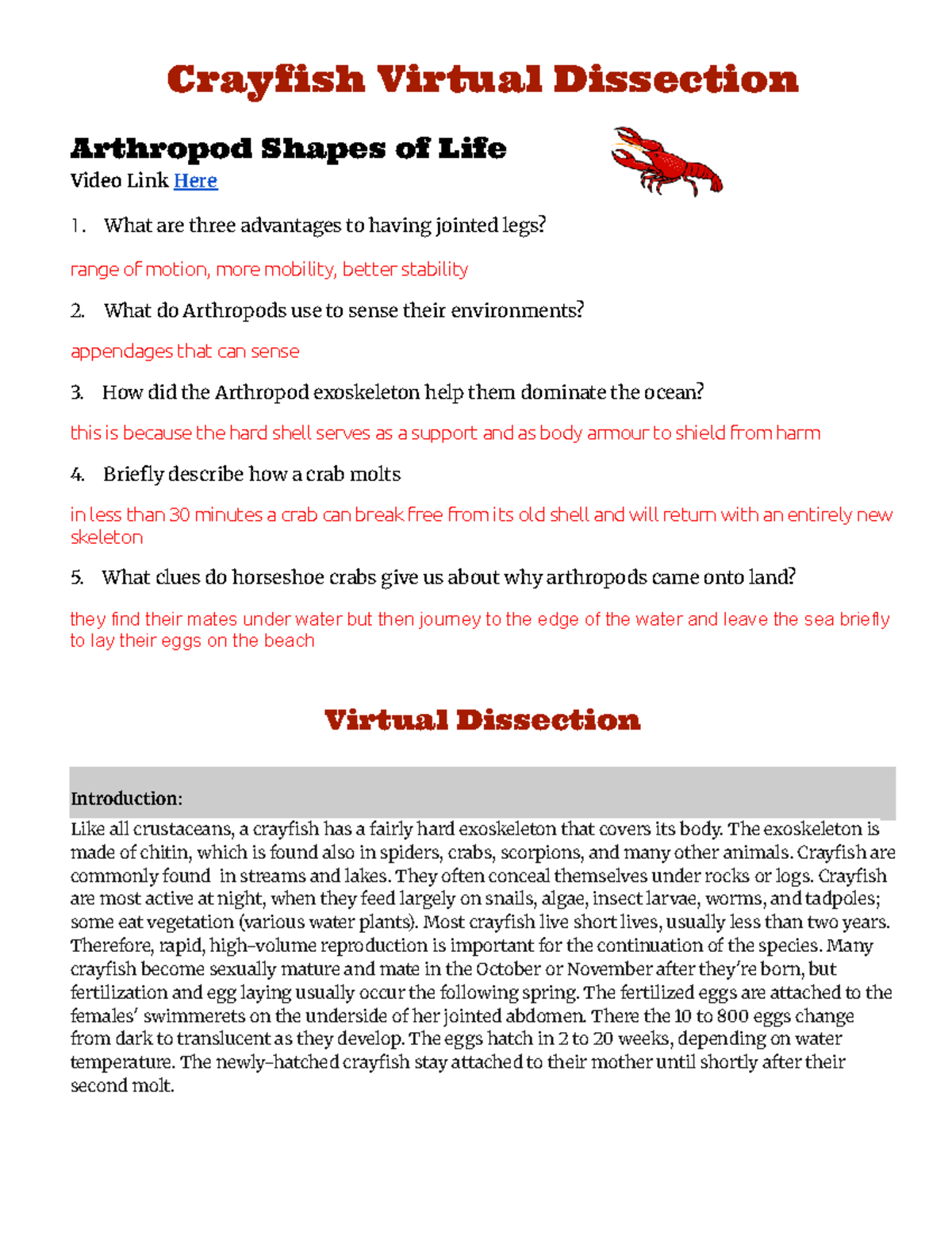 DLD Crayfish Virtual Dissection: Exploring Arthropod Anatomy - Studocu