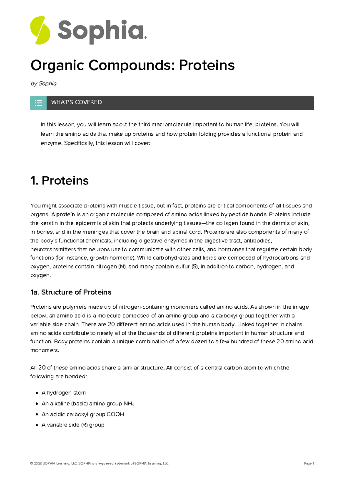 Understanding Proteins: Structure, Function, and Chemistry (BIO101 ...