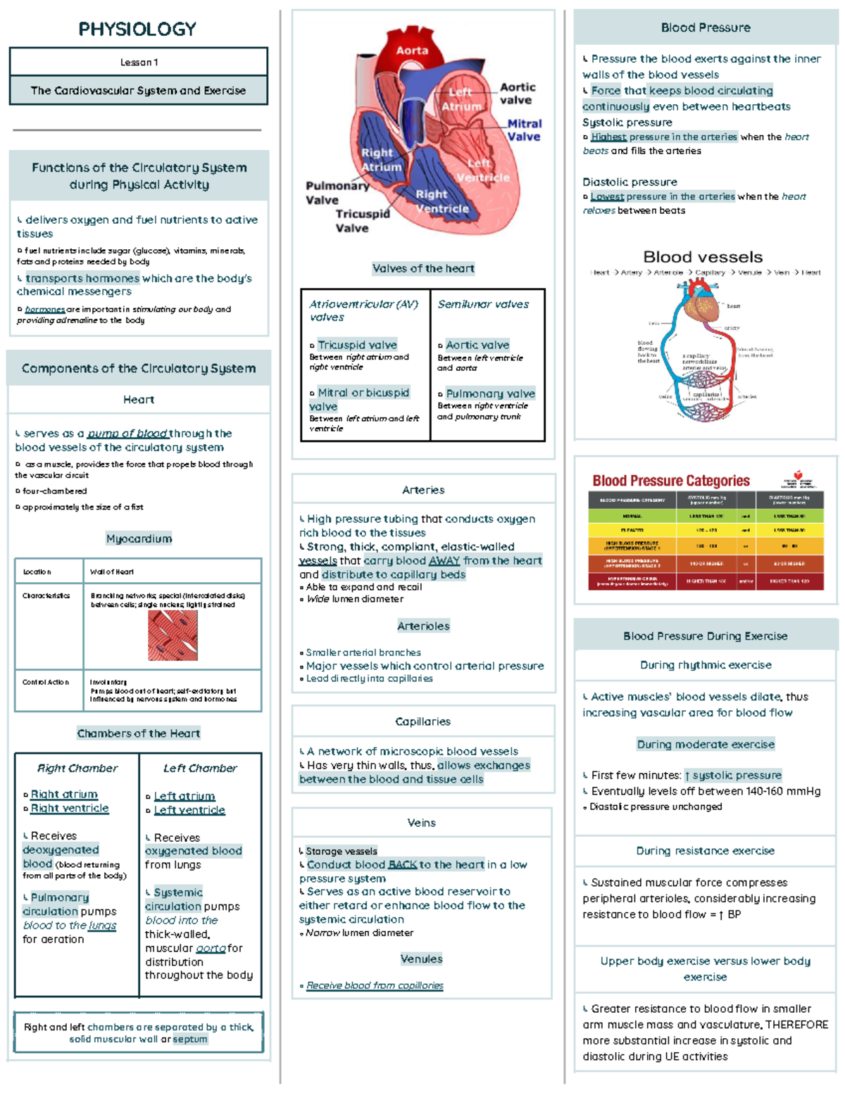PHYSIO 101: Cardiovascular System in Exercise - Lesson Review - Studocu