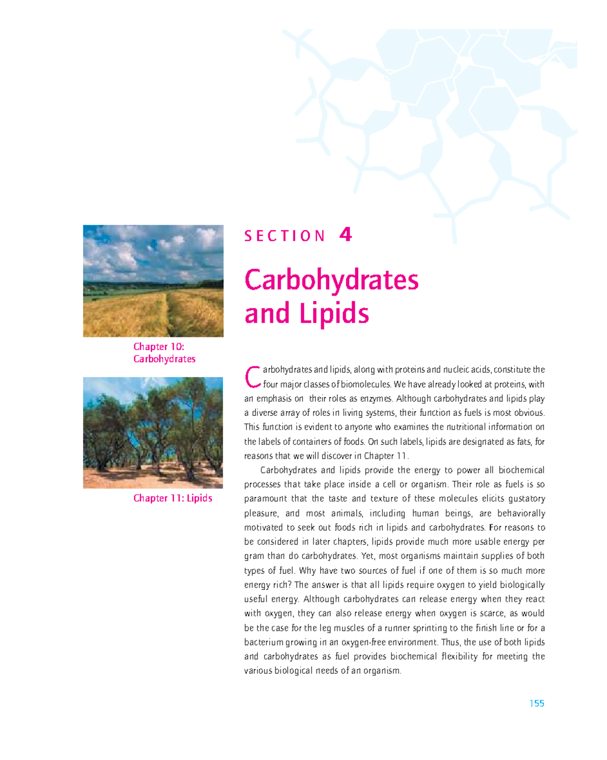 Carbohydrates and Lipids: Key Concepts from Chapters 10 & 11 - Studocu