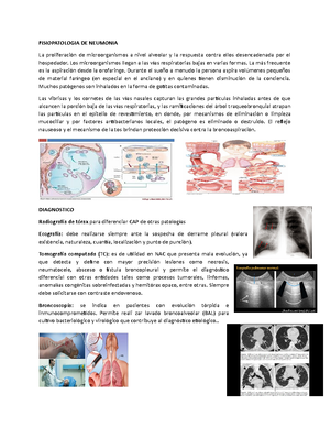 MITOSIS: Proceso de División Celular - Historieta y Resumen Visual ...