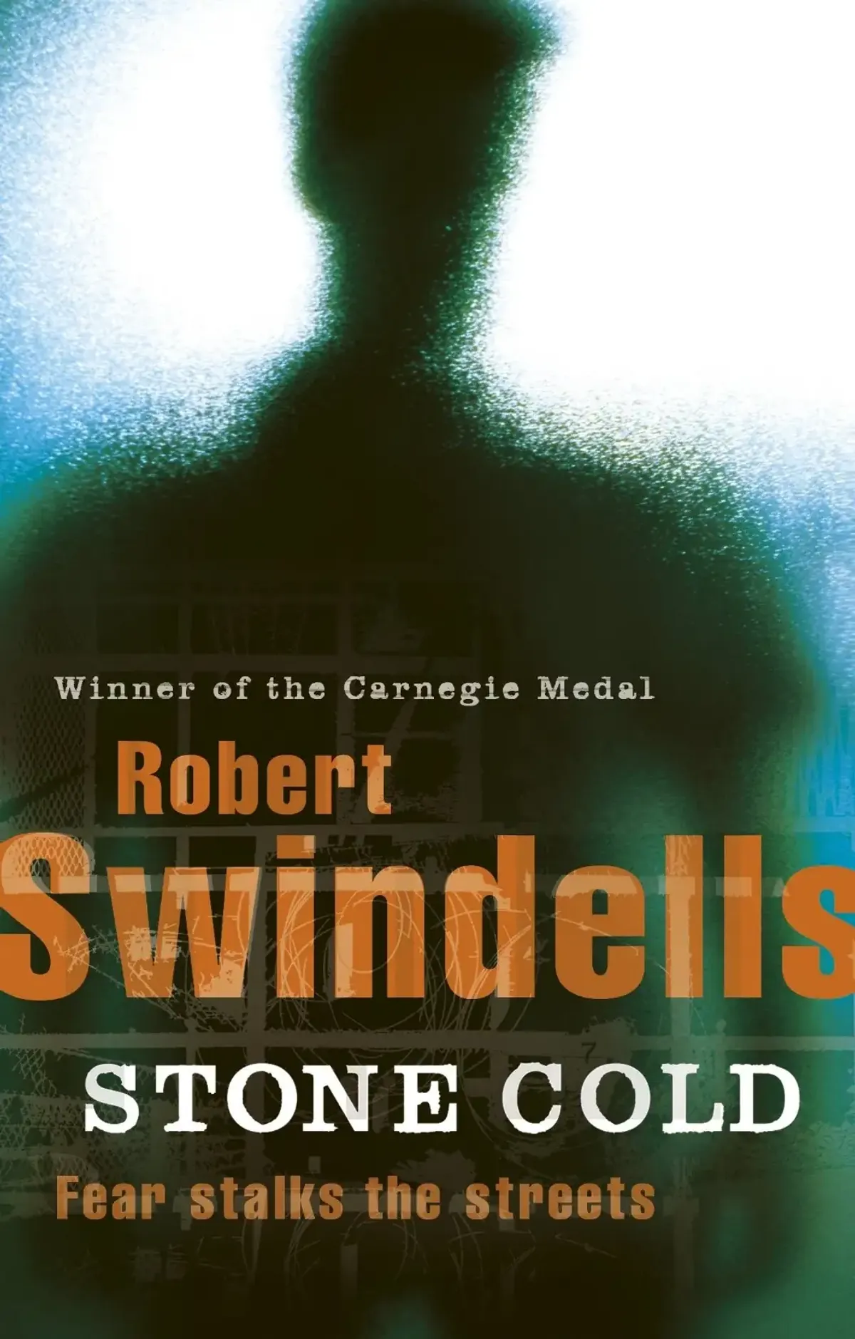 Book Report on Stone Cold (ENG101) - A Thrilling Review - Studeersnel