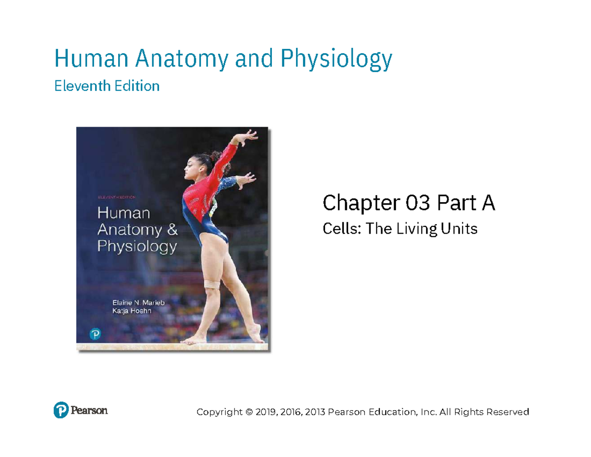 Human anatomy and physiology CH3: Cells, membrane transport & division ...