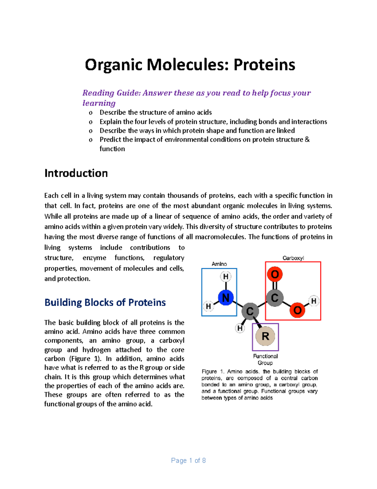 Organic Molecules: Proteins - Comprehensive Study Guide - Studocu