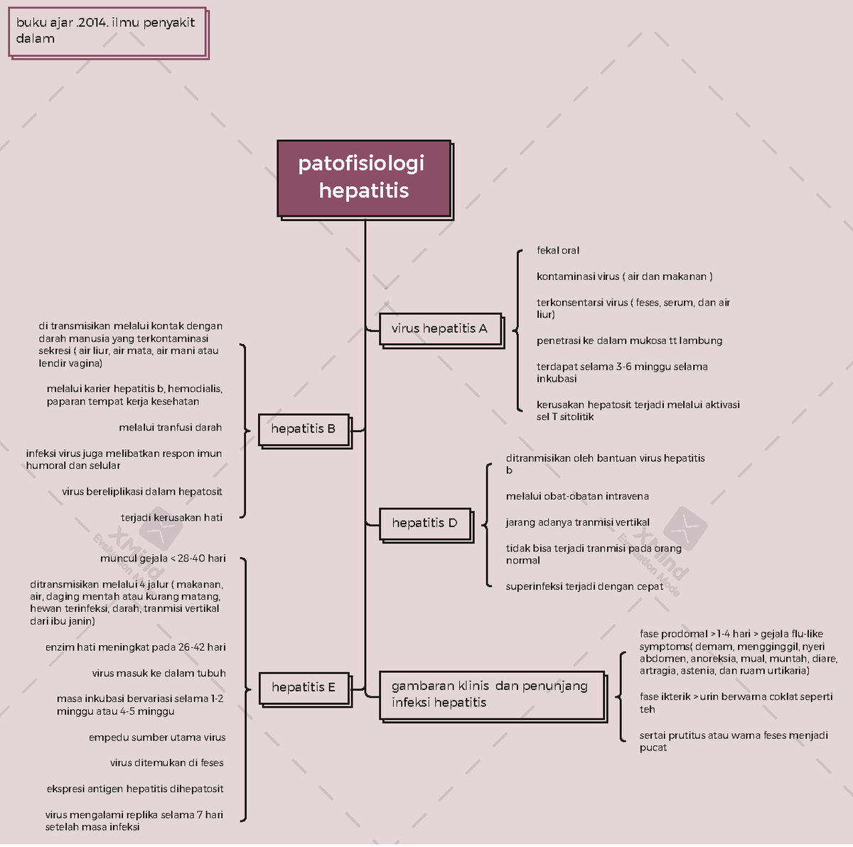 Patofisiologi hepatitis - patofisiologi hepatitis virus hepatitis A fekal oral kontaminasi virus ...