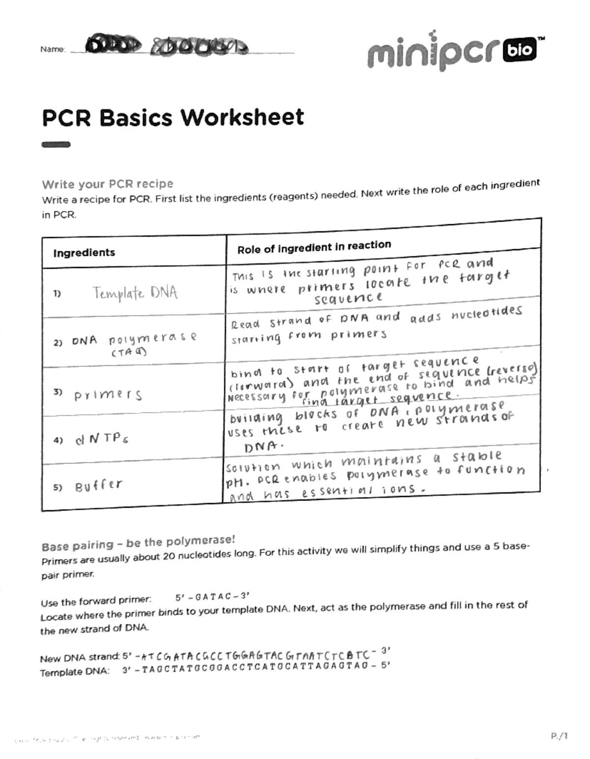 PCR Worksheet: Essential Protocols and Guidelines for Lab Work - Studocu